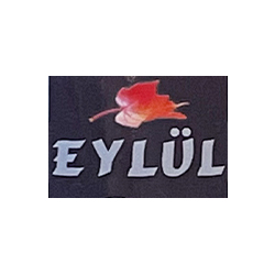 Wonder-Wool | It's a wonder-wool world